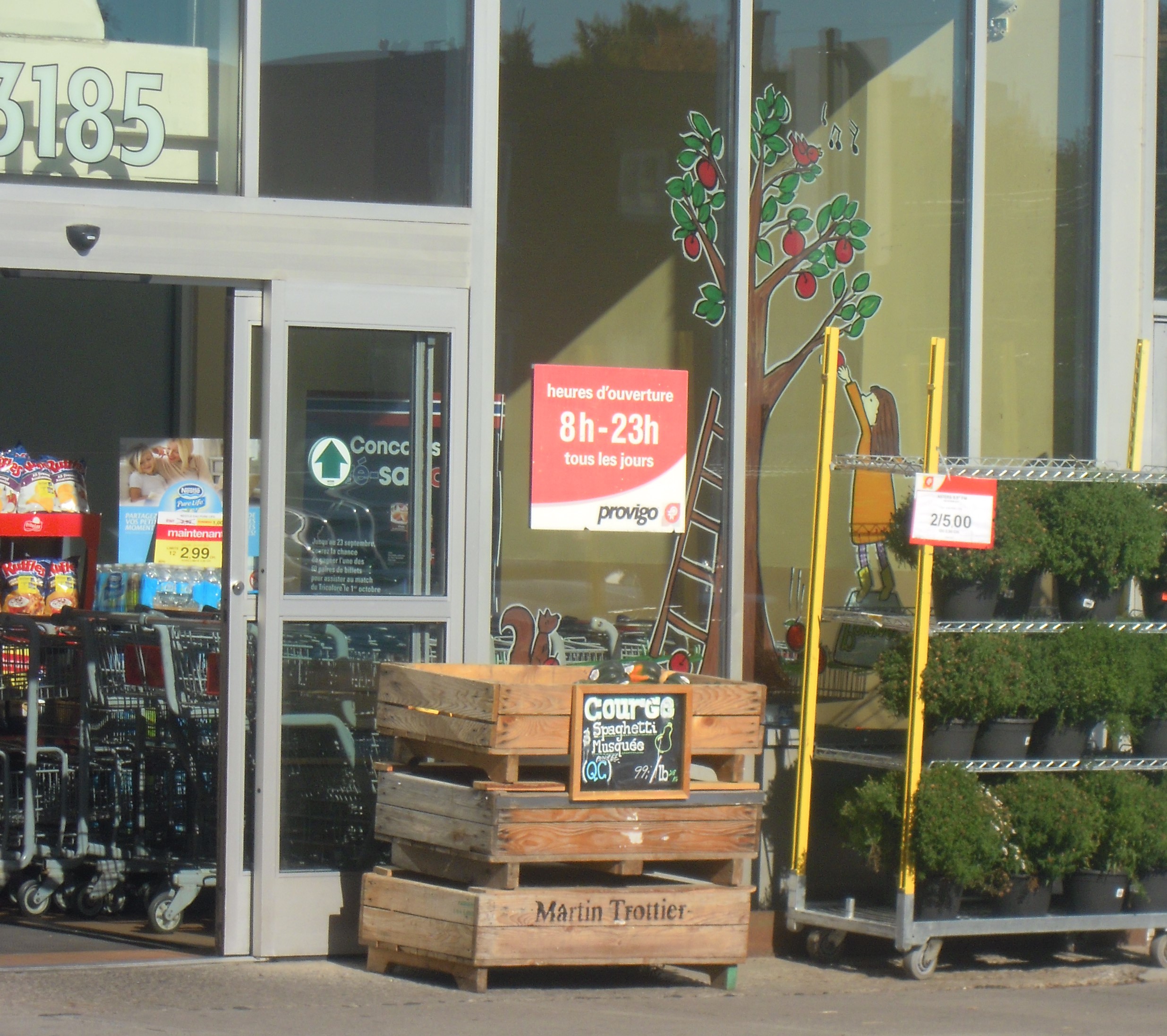 Épicerie Provigo rue Beaubien – Montréal – illustrations de vitrines ...